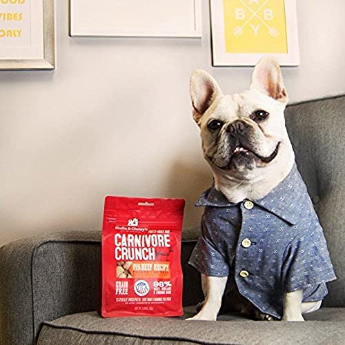Stella & Chewy's Freeze-Dried Raw Carnivore Crunch Grass-Fed Beef Recipe Dog Treats β 3.25 oz. Bag