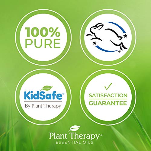 Plant Therapy Invigor Aid Essential Oil Blend 30 mL (1 oz) 100% Pure, Undiluted, Therapeutic Grade