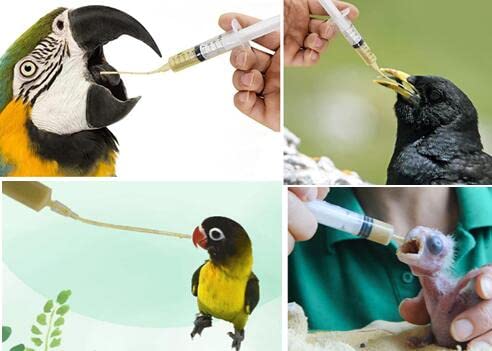 Puppy Kitten Feeding Tube Kit Includes Reusable Feeding Tube 20 Ml Syringe (6 FR),Newborn Birds Feeding Syringe, Small Animals or Sick Pet Feeding Tool for Parrot Baby Bird (2 Packs)