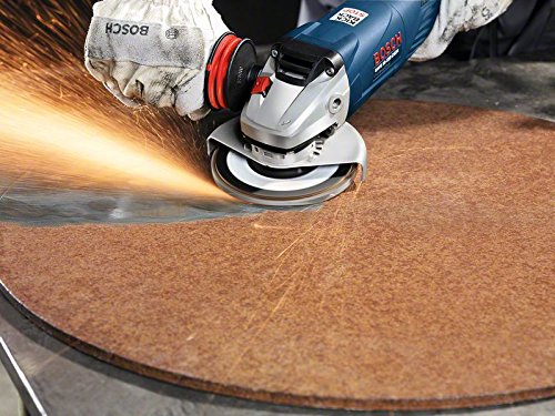 Bosch Professional 2608606717 Flap disc X551, Expert for Metal 125 mm, 22.23 mm, 60, Black/Brown