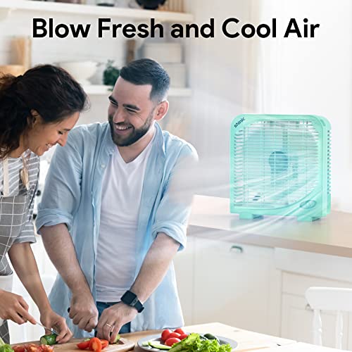 shinic Box Fan 10 Inch, 2 Speeds, Table Fan with Strong Airflow, Energy Efficient Small Window Fan, Air Circulation Portable Kitchen Exhaust Fan for Bedroom Bathroom, and Tabletop, green
