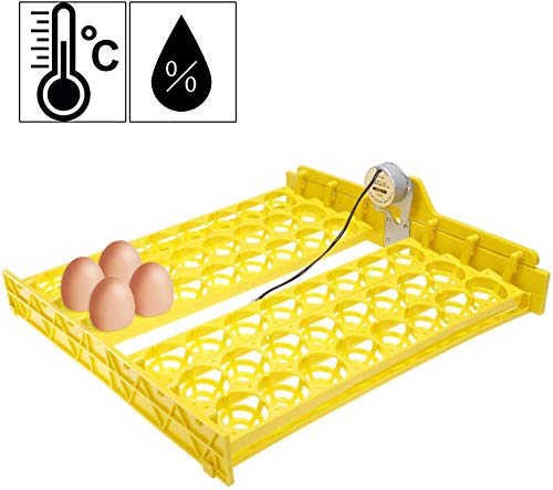Egg Incubator 48 Eggs Fully Automatic Digital Poultry Incubator with Fahrenheit Temperature and Auto Turning for Hatching Chicken Duck Goose Quail Bird, Egg Hatcher Breeder Incubator Gift Set for Kids