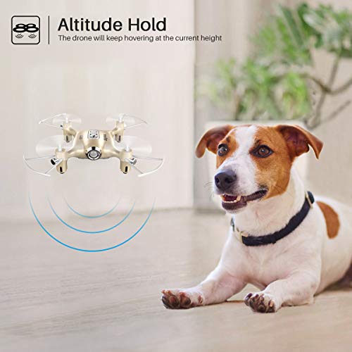 Pocket Drones for Kids with Headless Mode,Altitude Hold,3D Flip,2.4Ghz Nano LED Small RC Quadcopter,Easy to Fly Indoor Helicopter Plane for Beginners