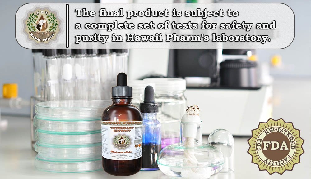 HawaiiPharm Senior Formula, Veterinary Natural Alcohol-Free Liquid Extract, Pet Herbal Supplement 4 oz
