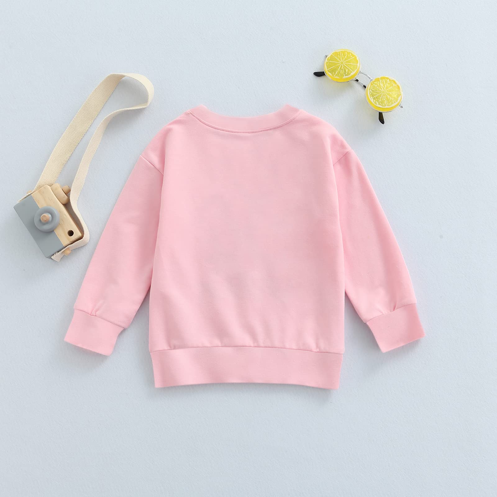 Engofs Newborn Infant Baby Boy Girl Sweatshirt Long Sleeve 0 6 12 18 24 Months Letter Print Pullover Sweater Fall Winter Clothes Purple 2-3T