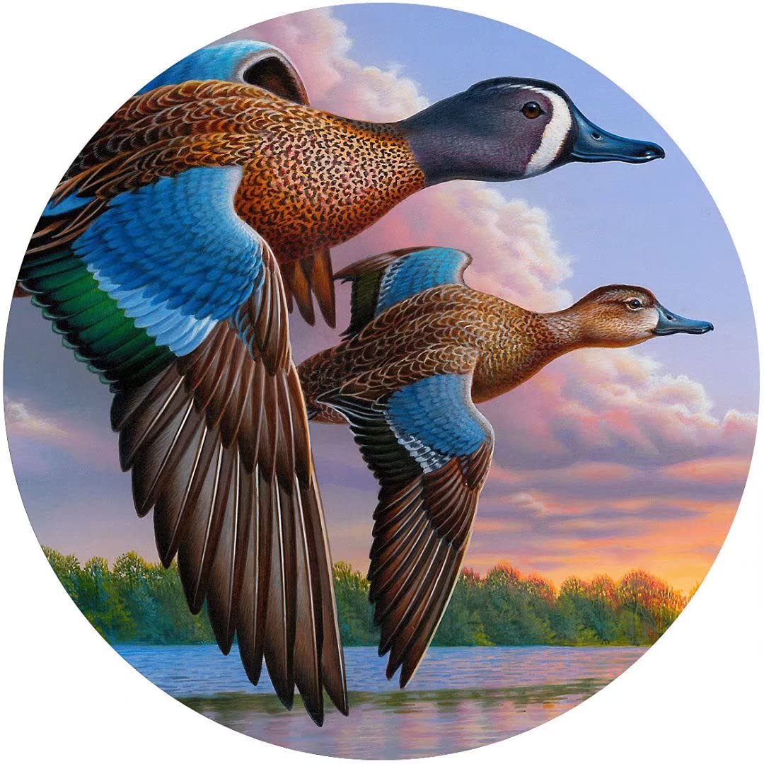 WZVZGZ 12x12 inch,Round Metal Tin Sign Rustic Wall Decor,Wild Duck Art,Duck Hunting Art,Duck Art,Round Metal Sign Plaque for Home Garden Kitchen Bar Cafe Restaurant Garage Retro Vintage Wall Art