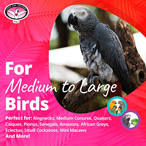 Super Bird Creations SB751 PVC Forager Bird Toy, Medium/Large Bird Size, 3β x 5β x 8β