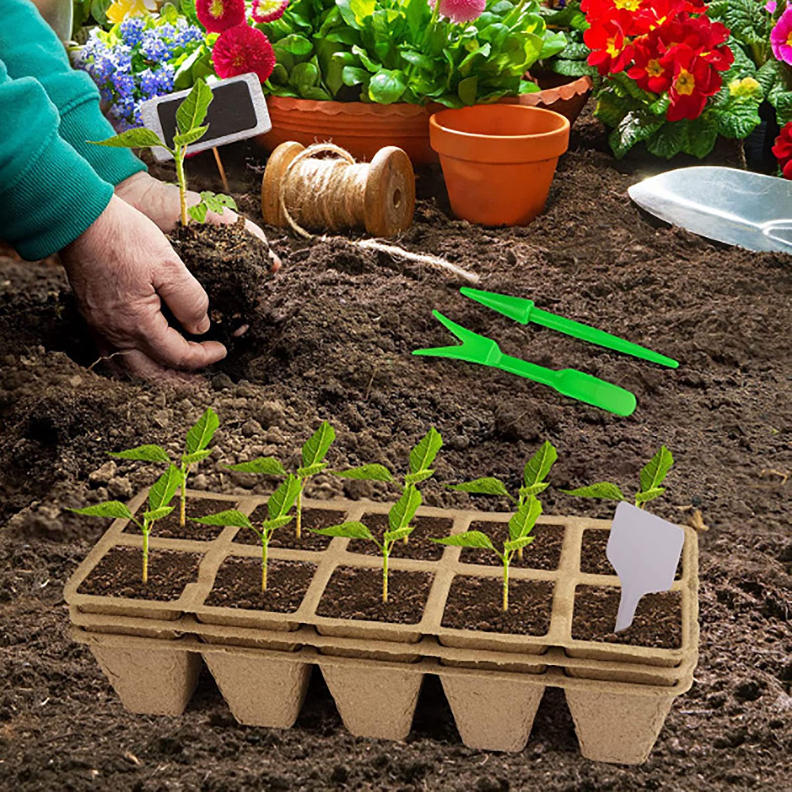 Cloning Domes for Trays12 Seed Pots Seedling Pots Pack Trays Indoor Seedling Outdoor Seed Disseminators Oh Deeds