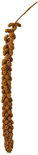 Sun Seed Company Bss10930 Small Bird Millet Spray Treats, 25-Pound