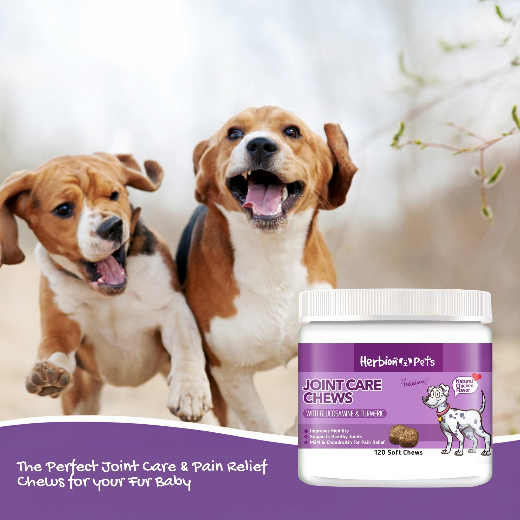 Herbion Pets Joint Care Chews with Glucosamine & Turmeric, 120 Soft Chews, MSM & Chondroitin for Pain Relief, Improves Mobility, Supports Healthy Joints, Made in The USA - for Dogs 12 Weeks+