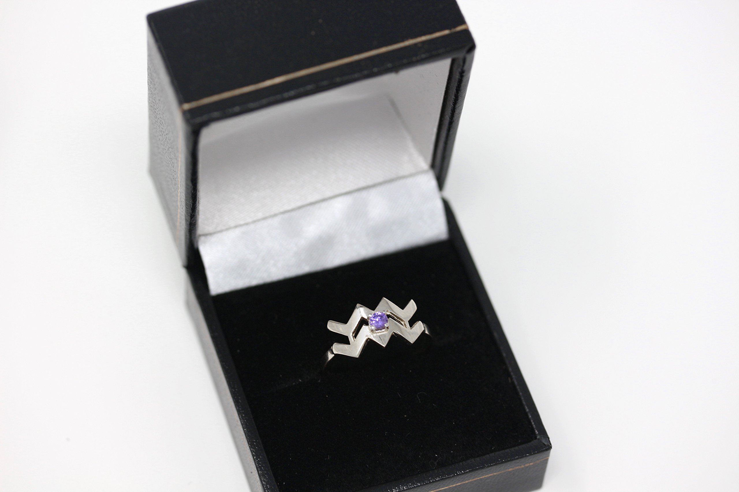 CaliRoseJewelry Sterling Silver Aquarius Zodiac Ring for Women with February Birthstone (Size 4.5)