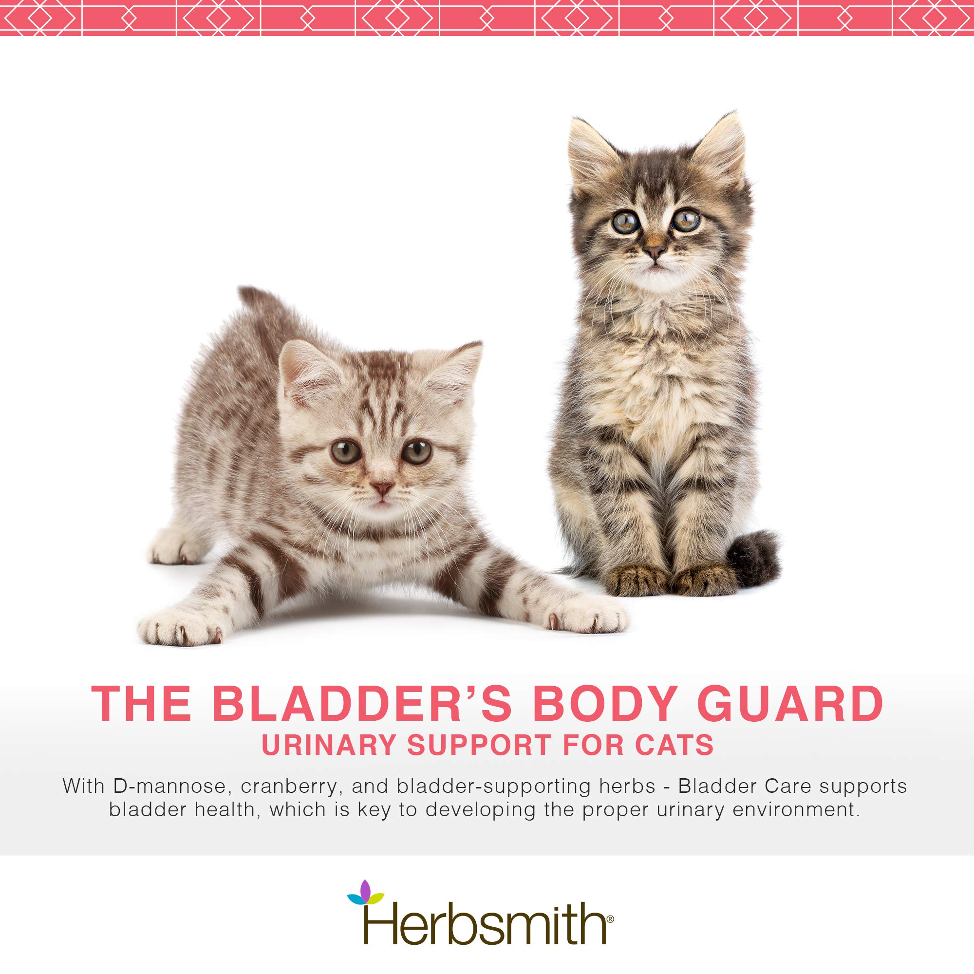 Herbsmith Bladder Care- Bladder Support for Cats- Urinary Tract Cat Supplement – Maintains Kidney Health for Cats– 75g