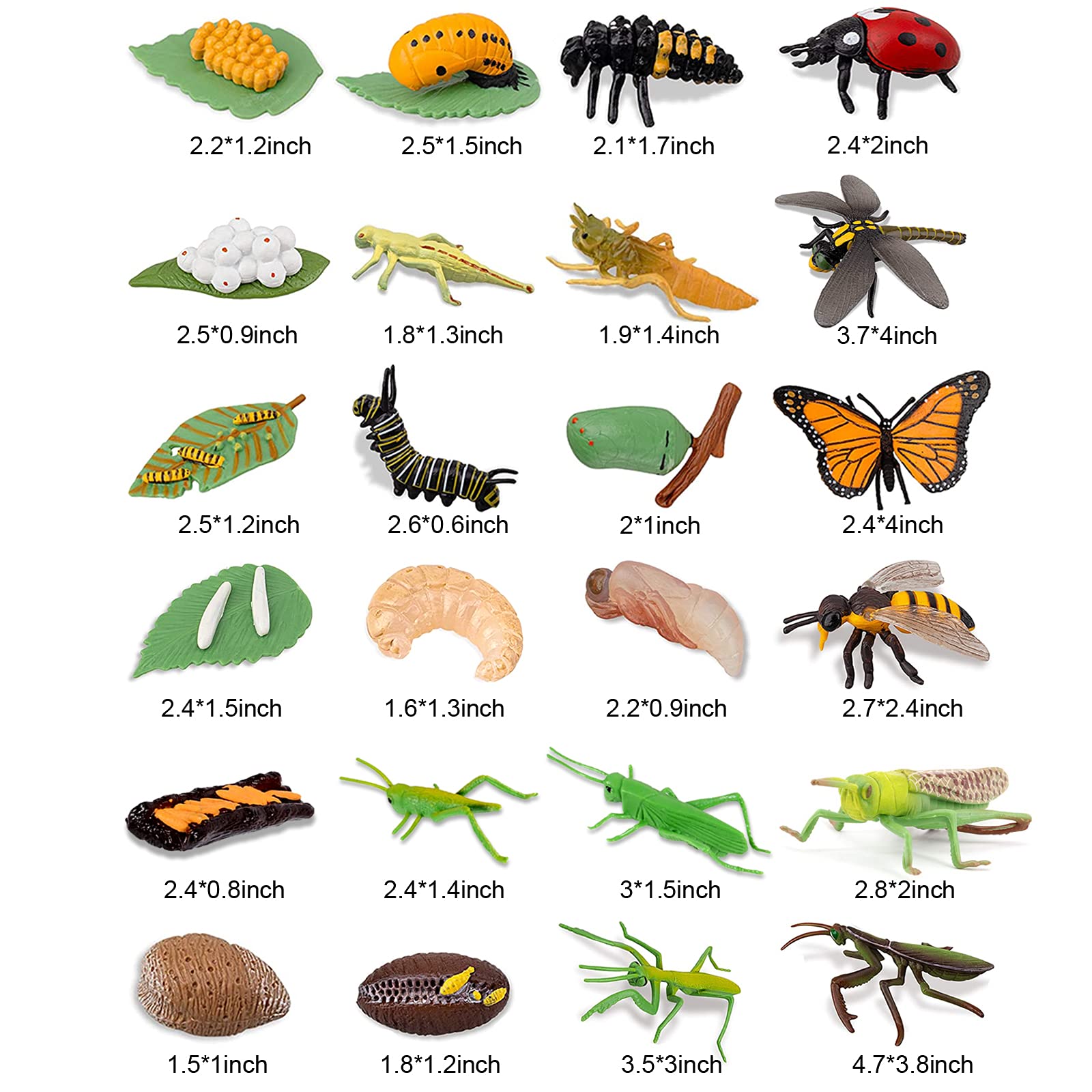 Odowalker 24PCS Life Cycle Figures,Insect Figurines Life Cycle of Monarch Butterfly,Honey Bee,Ladybug,Praying Mantis,Dragonfly,Grasshopper Safariology Bug Figures Kits Educational School Project