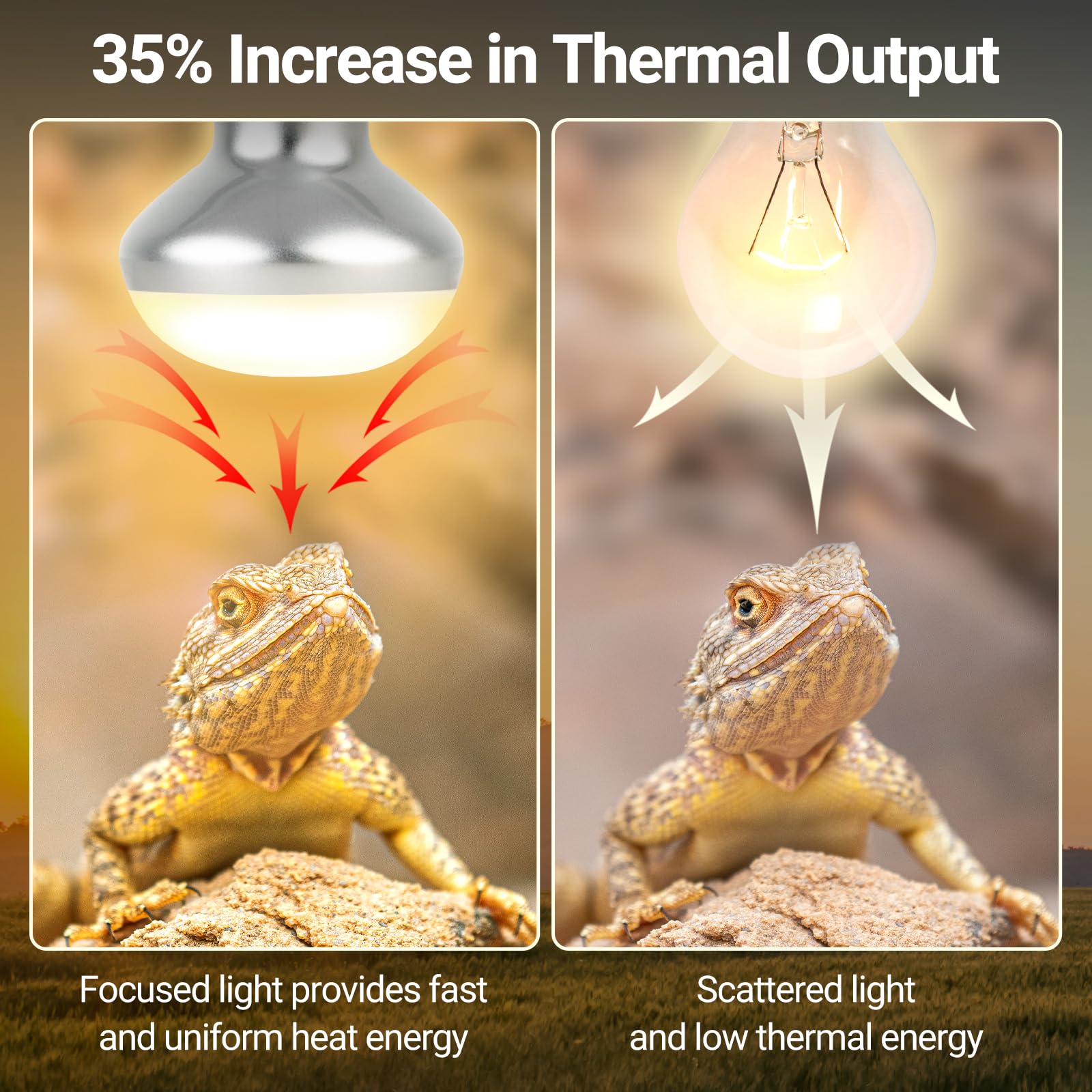 REPTI ZOO 50W Reptile Heat Lamp Bulb,2 Pack Intense Spot Basking Light,UVA Daylight Heating Lamp Bulb for Reptile & Amphibians & Chicken Brooder,Bearded Dragon, Lizard, Tortoise