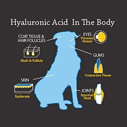 Hyalogic HyaFlex Pro Complete Dog Joint Supplement and Coat Conditioning Spray 4oz for Dogs, Cats, Pets with Hyaluronic Acid HA and Biotin
