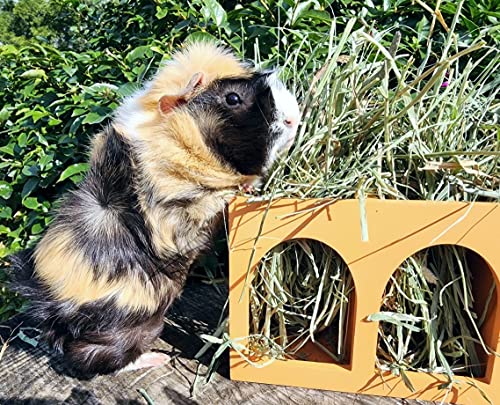 Piggies Choice Hay Feeder Natural Pine Wood Arch Guinea Pig Hay Rack with Option to Attach to Cage (Mango with Bottom)