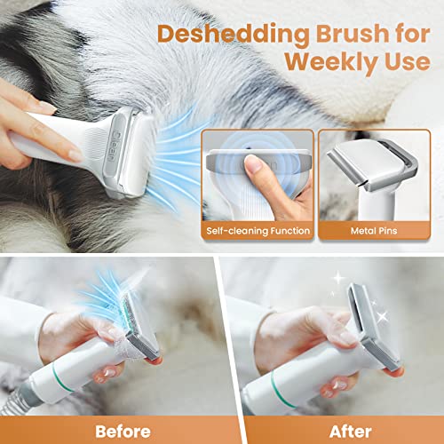INSE P20 Pro Dog Grooming Kit, Low Noise Pet Grooming Vacuum for Dogs, Professional Dog Clippers with Powerful Vacuum Function, 5 Pet Grooming Tools for Shedding Long & Short & Thick & Thin Dogs Hair