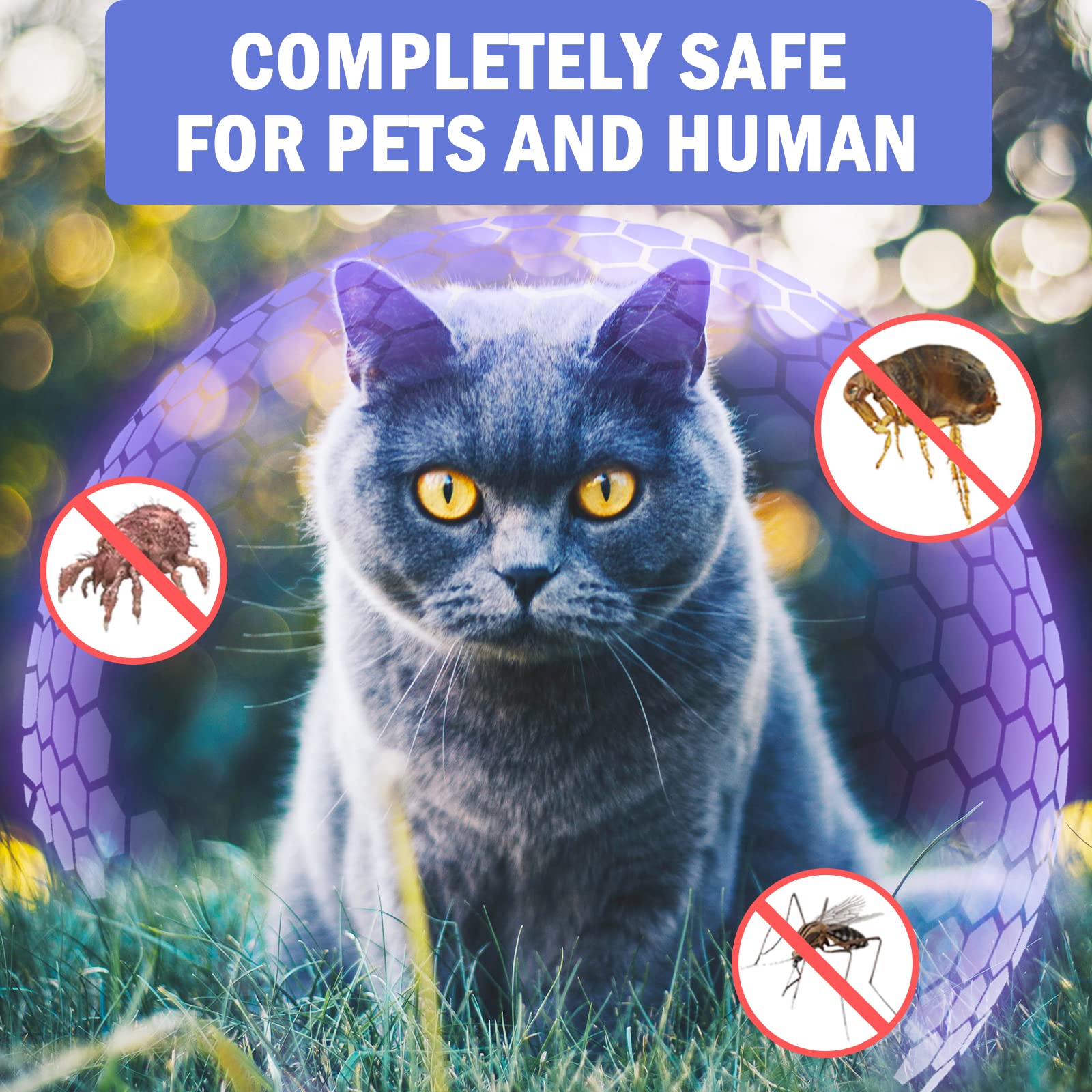 Flea and Tick Collar for Kittens, 8 Months of Cat Flea Collar Protection 2 Collars Made with Premium Plant Based Essential Oil Waterproof and Natural Treatment Prevention Free Comb, 2 Pack