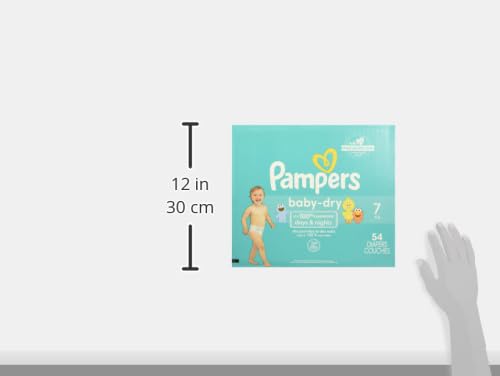 PAMP BDry S7 Super 1/54