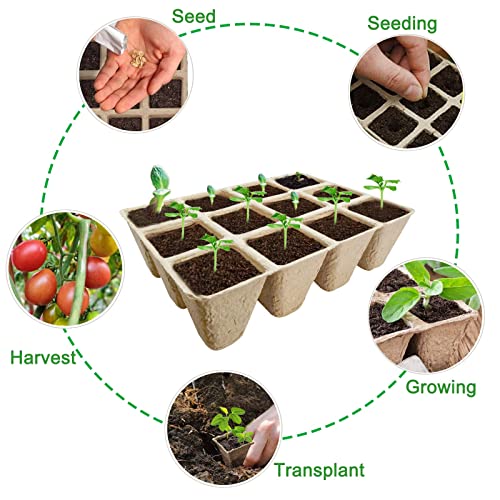 Fooyekep Seed Starter Tray,20 Pack Peat Pots for Seedlings,240 Cells Biodegradable Seed Starter Pots Germination Trays,Organic Seed Starter Kit with 20 Pcs Plant Labels