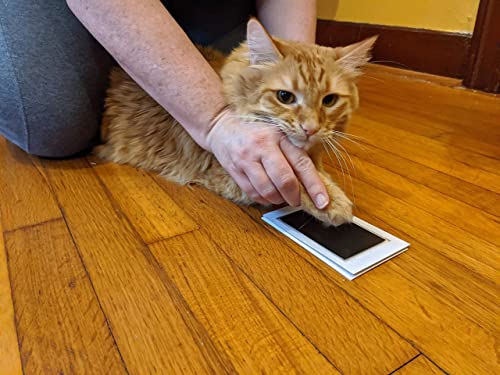 Green Pollywog - Extra-Large Clean Touch Inkless Ink Pad for Pets | Pawprints for Dogs & Cats Non-Toxic | Paw Print Stamp Kit | Dog Paw Print Kit | Cat Footprint Keepsake (2-Pack)