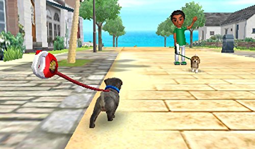 Nintendogs + cats Golden Retriever & ses nouveaux amis - Nintendo Selects