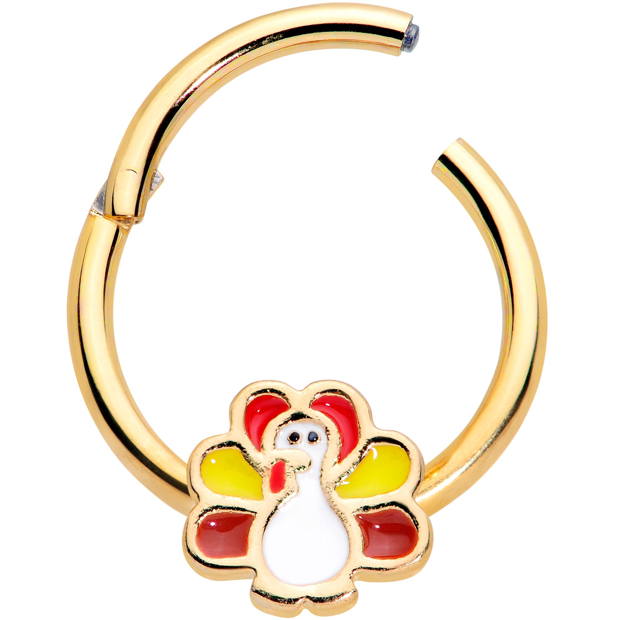 Body Candy Womens 16G PVD Steel Hinged Segment Ring Seamless Cartilage Nipple Ring Tom Turkey Nose Hoop 3/8"
