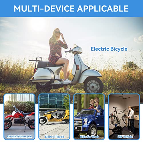 HAYAEnergy 48V 20Ah Ebike Battery LiFePo4 Battery Electric Scooter Battery with Fast Charger and 40A BMS for 250-2000W Motor on Ebike, Motorcycle and Electric Dirt Bikes