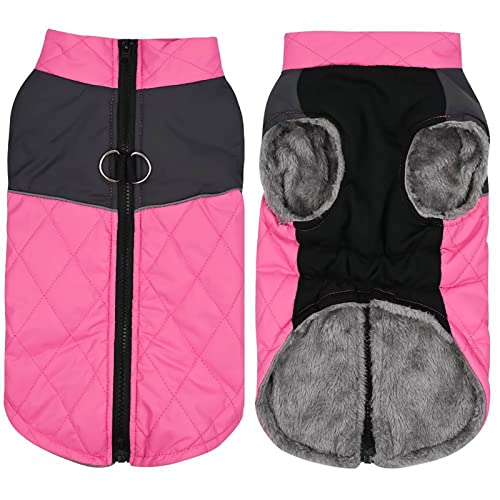 HonpraD Pet Clothes for Small Dogs Girls Dress Reflective Waterproof Pet Coat Winter Warm Dog Coat for Small Medium Large Dog