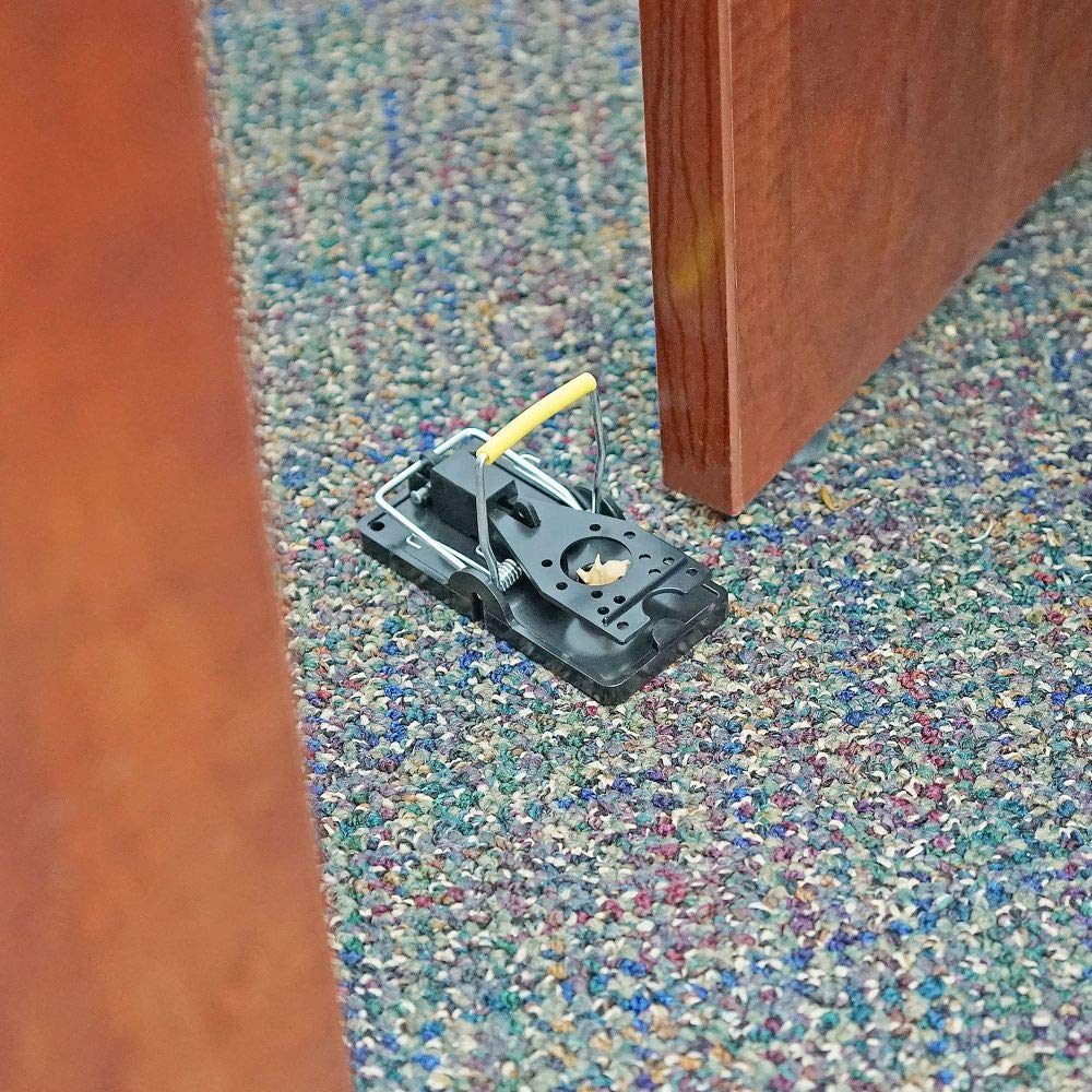 iTrap Easy Set Snap Mouse Traps w/Bait Cups, 6 Pack Simple Deadly Rodent Pest Control for Home or Office