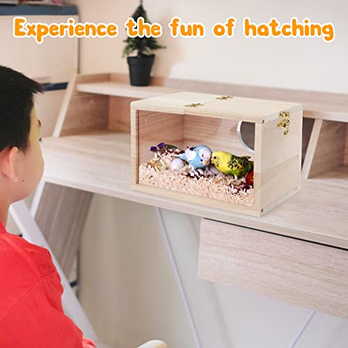 Rypet Parakeet Nesting Box Transparent Design, Bird Nest Breeding Box with Perch Wood Bird Cage House for Cockatiel Lovebirds Budgie Finch Parrotlets Canary