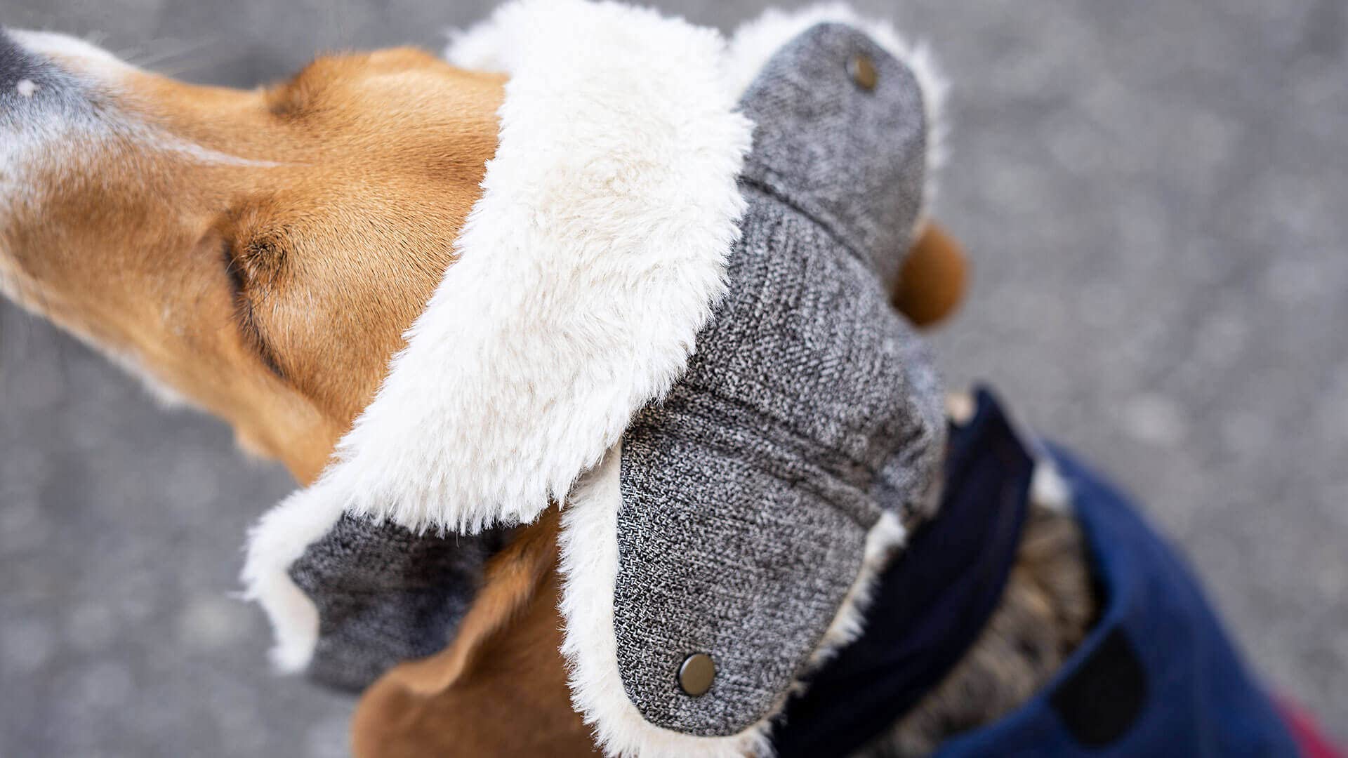 Canada Pooch Dog Winter Hat Adjustable Pet Beanie with Ear-Holes with Faux-Fur Lining Dog Avaitor Hat Cute Dog Accessory for Small Medium Large Dogs - Grey/S