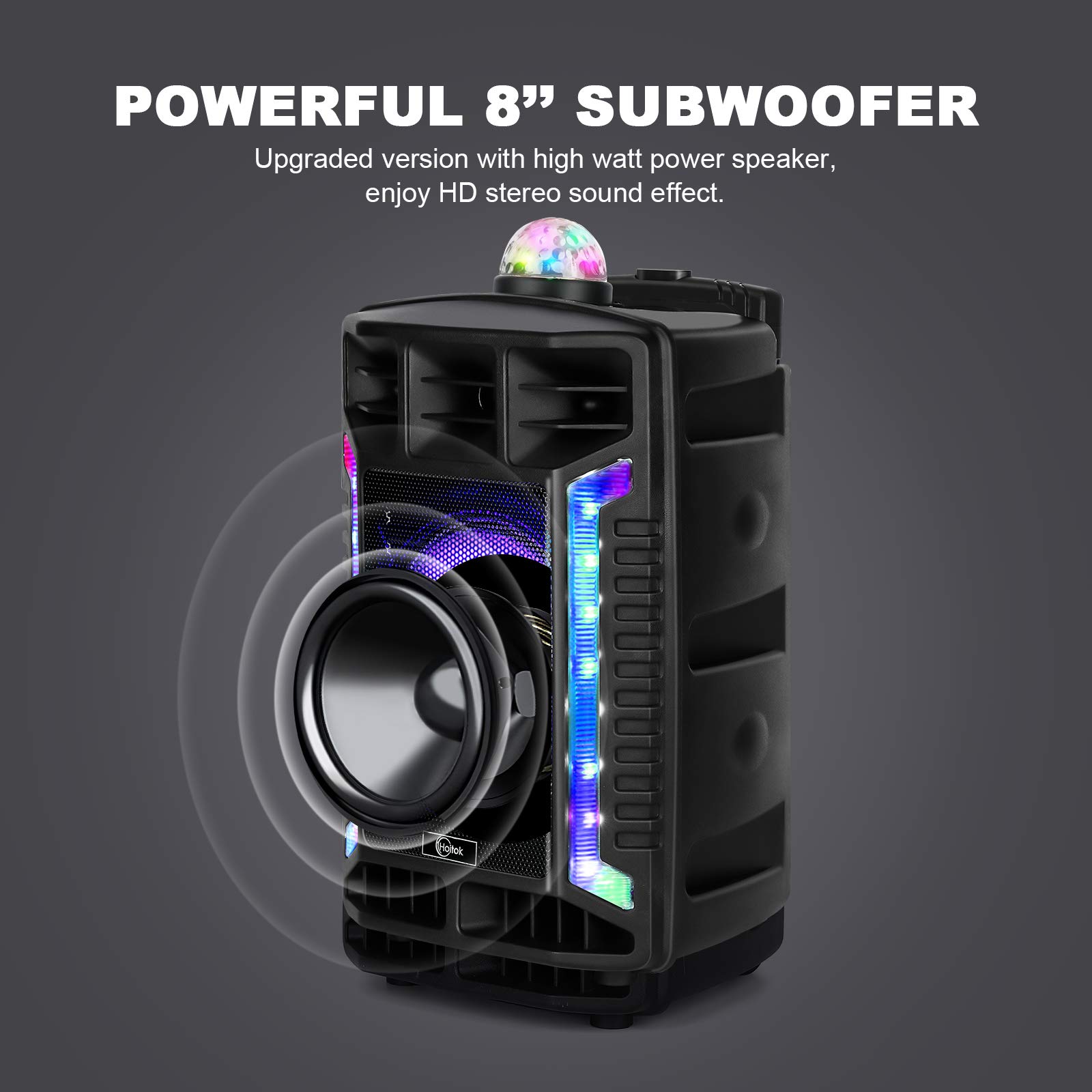 Portable Karaoke Machine 8ββ PA Speaker System Bluetooth Karaoke System for Adults & Kids with Disco Ball, Microphone Rechargeable Battery USB/SD Reader