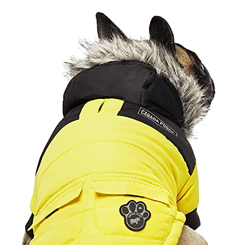 Canada Pooch True North Parka - Yellow - Size 10, 10 (9-11" Back Length)