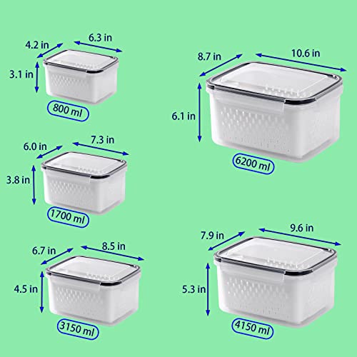 Set of 5 with Drain Basket Fruit Storage Containers , King Size to Mini Tall Airtight Fridge Fresh Produce organizer , used for food Frozen Vegetable and Salad, refrigerator veggie saver keeper
