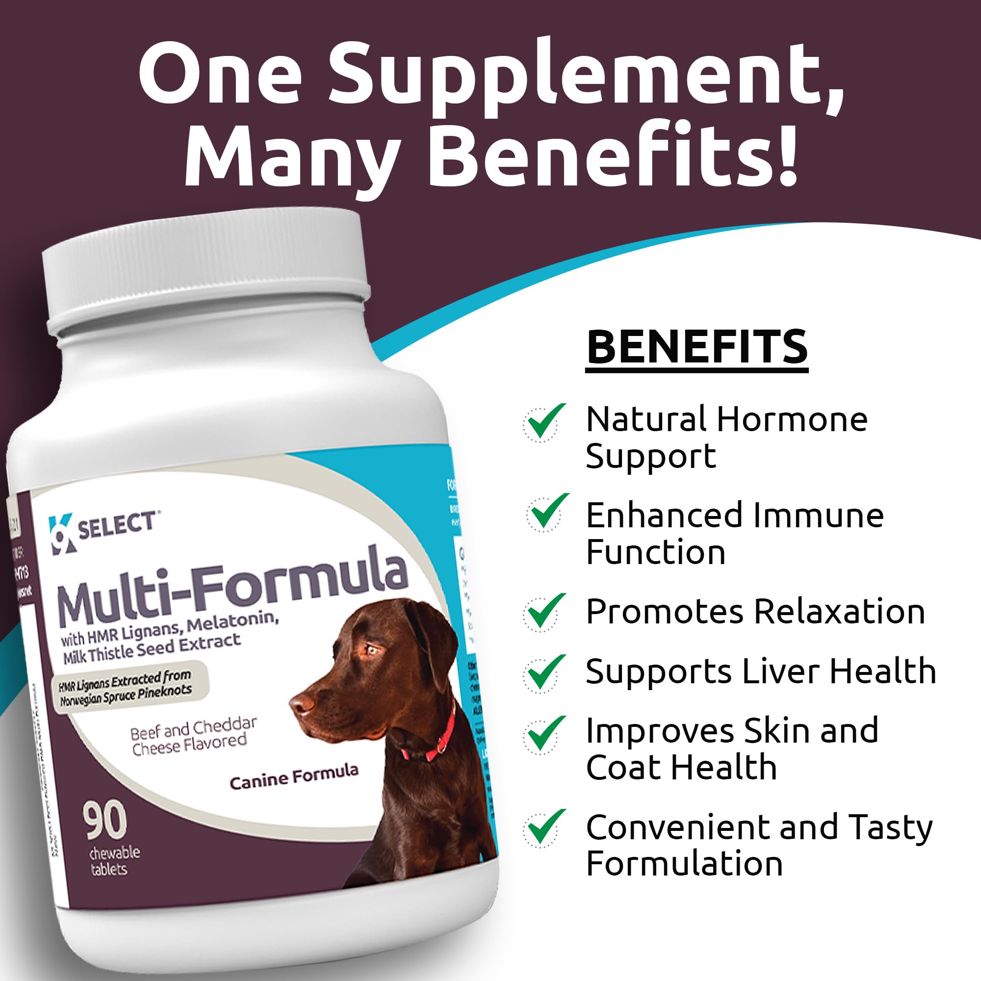 K9 Select Multi-Formula Dog Vitamins for Large Dogs - 30mg HMR Lignans, 3mg Melatonin, 60mg Milk Thistle - Helps Heart, Liver, Digestion, Skin & Coat Health, Dog Multivitamin, 90 Tablets, Beef Flavor