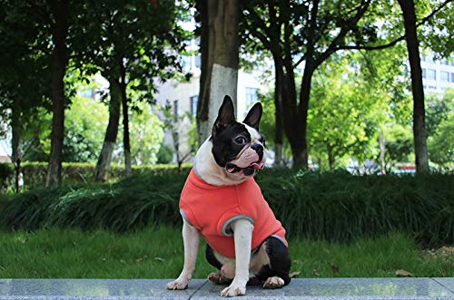 HGMOMO Dog Fleece Vest Warm Winter Upgraded Pet Clothes for Puppy Windproof Sweater Pullover Coat with D-Ring Leash Chihuahua Jackets Pug Costumes for Small Medium Cats Dogs (Small, Royal Blue)