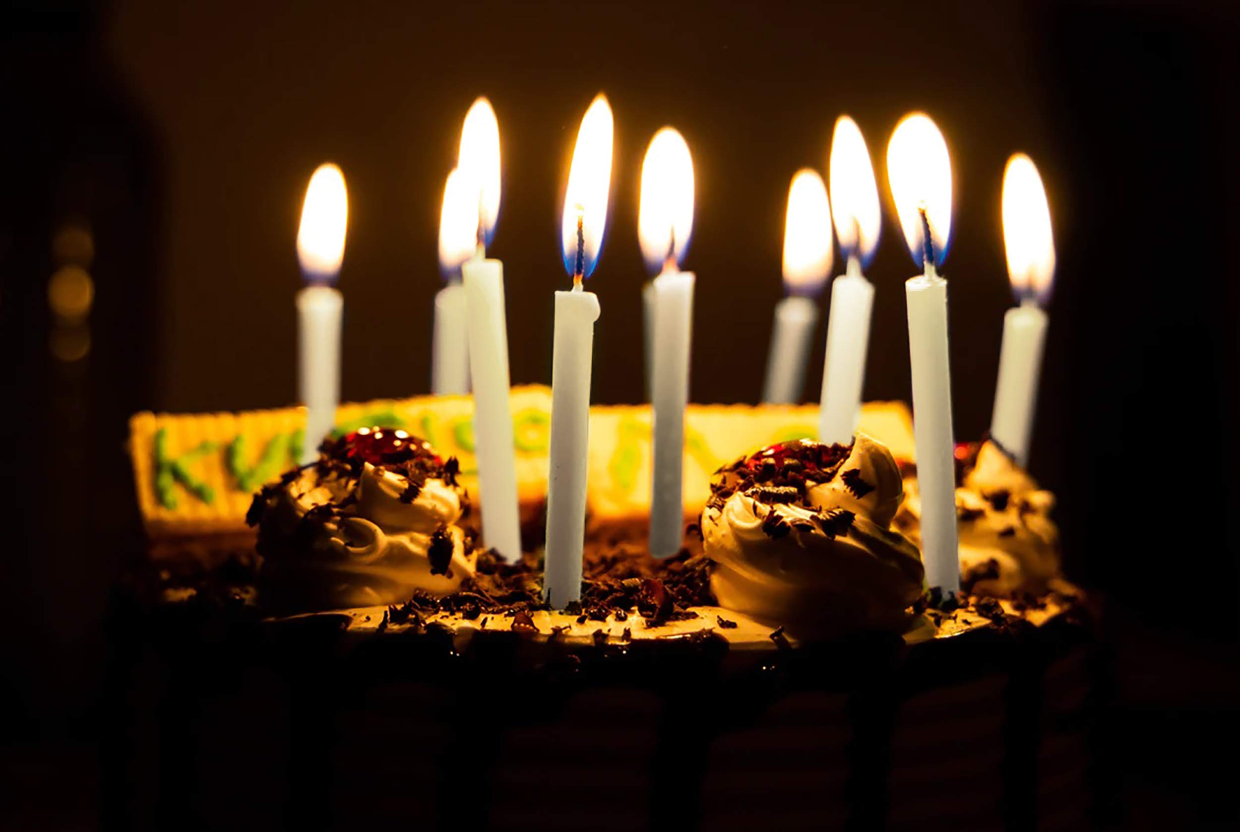 Hyoola Beeswax Birthday Candles – 24 Pack Mini Birthday Candles - All Natural 100% Unscented Pure Beeswax Candles - Handmade in The USA - White
