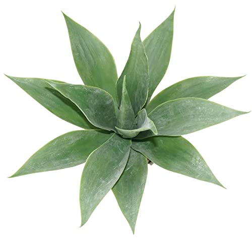 Hisow Artificial Potted Plants, 13.8" Artificial Succulent Fake Aloe, Large Faux Aloe Plant in Pot for Home Office Room Badroom Garden Decor (Grey)