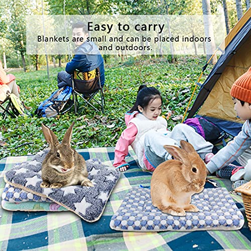 G YITENG 3 Pc Small Animal Plush Bed Mat,Warm Fluffy Kitten Puppy Blanket,Fleece Sleep Pad for Ferrets Hamster, Rabbit Bed Guinea Pig Bed (Large:19 x 12in, Set-G)