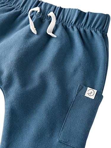 little planet by carter's unisex-baby 2-pack Pants made with Organic Cotton, Navy/Heather, 12 Months