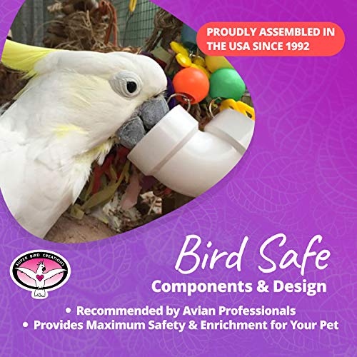 Super Bird Creations SB751 PVC Forager Bird Toy, Medium/Large Bird Size, 3β x 5β x 8β