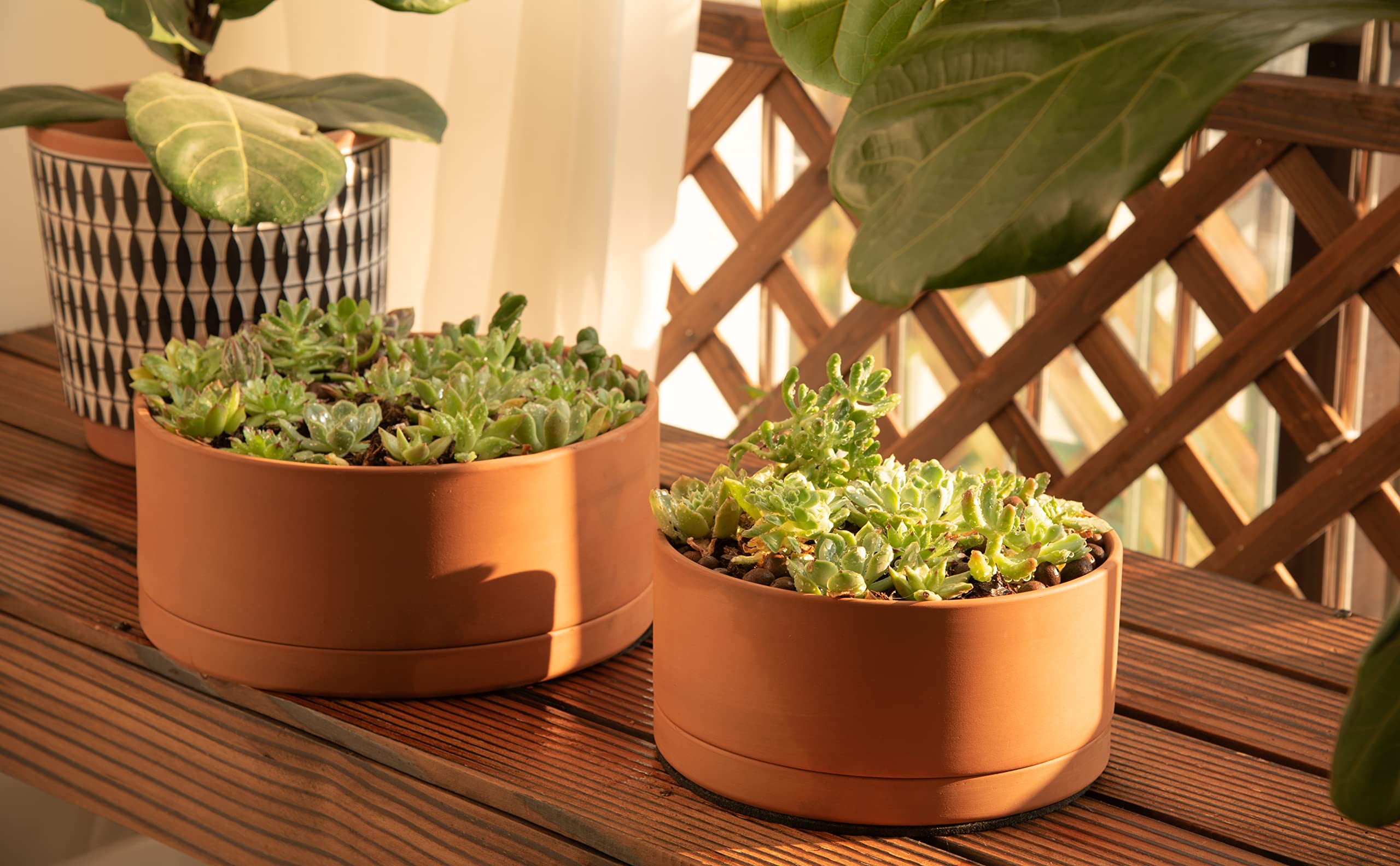 D'vine Dev 10 Inch Succulent Terracotta Shallow Pot with Drainage Hole and Saucer, Round Cylinder Planter Pot for Plant Flower, 40-B-L-10-1