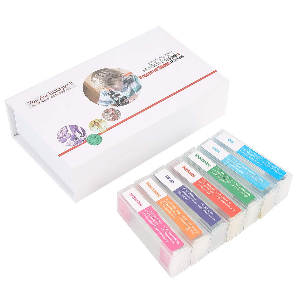 Hilitand 35pcs Biology Microscope Slide Glass Biological Prepared Slide Seven Type Biology Slide Lab Specimens Set