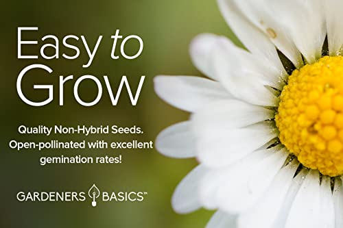 Daisy Seeds for Planting Outdoors Flower Seeds (3 Variety Pack) Alaska Shasta Daisy, Painted Daisy, Yellow Daisy Varieties for Butterflies, Bees, Pollinators Wildflower Seed by Gardeners Basics