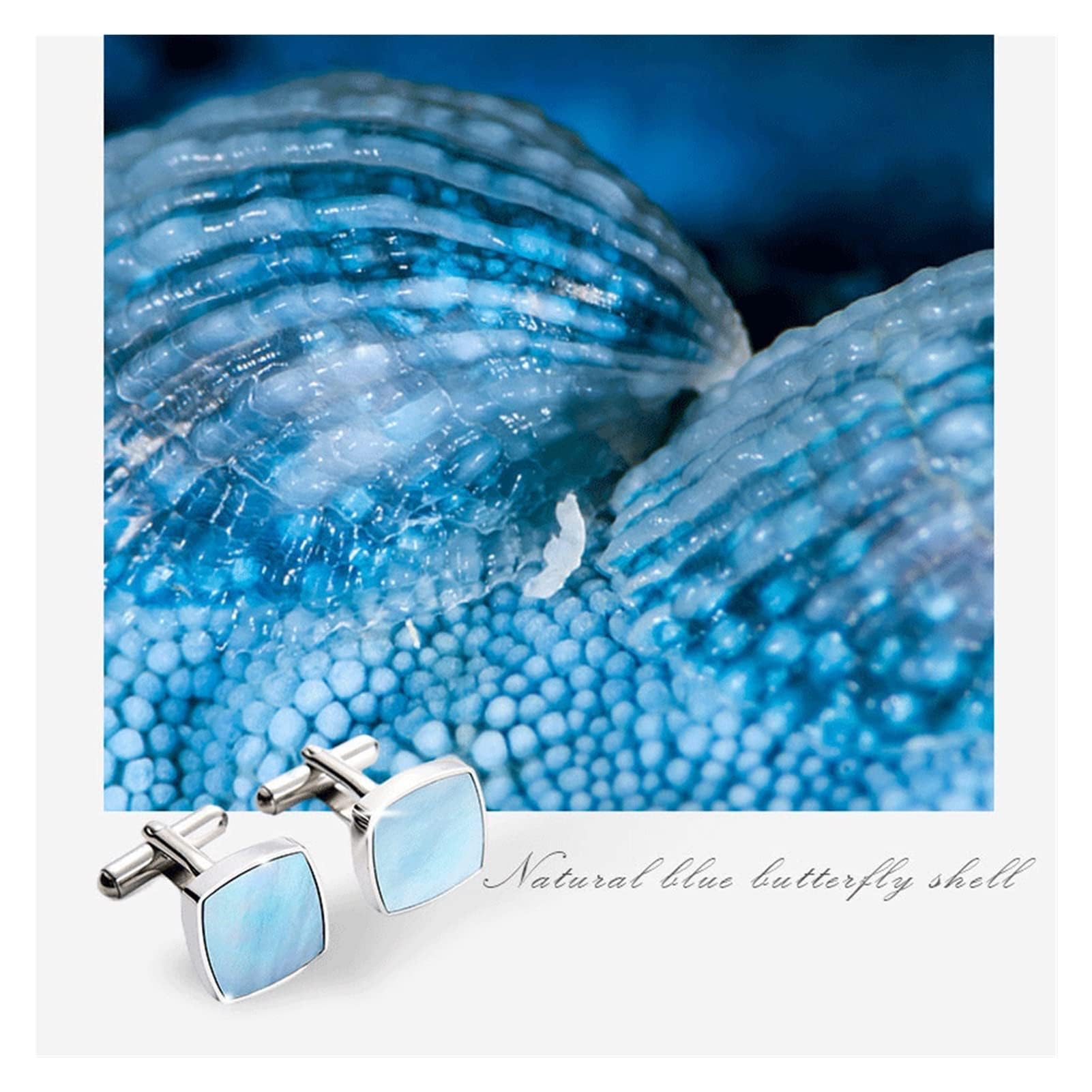Cufflinks Natural Shell Blue Butterfly Shell Men's Gift Box Shirt Cuff Nail Shirt Suit Cufflinks (Color : A, Size : One Size) (A One Size)