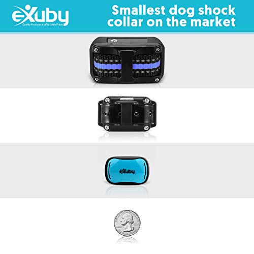 eXuby - Tiny Shock Collar for Small Dogs 5-15lbs - Smallest Collar on The Market - Sound, Vibration, & Shock - 9 Intensity Levels - Pocket-Size Remote - Long Battery Life - Water-Resistant (Teal)