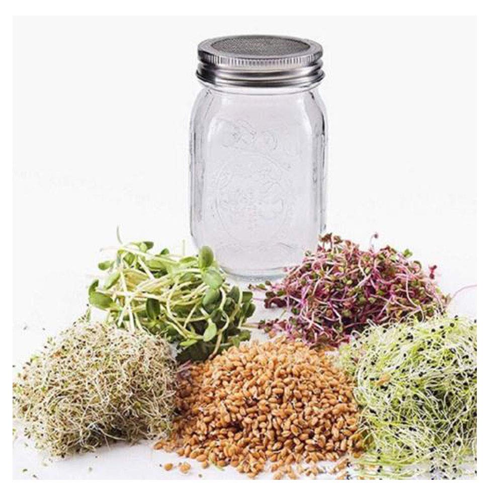 Mason Jar Liquor/Oil Pour Spout Dispenser, Sprouting Mason Jar Lid,Shaker Lid Shaker Dry Rub Lid - Cocktail, Mix Spices, Dredge Flour, Sugar Pack of 6