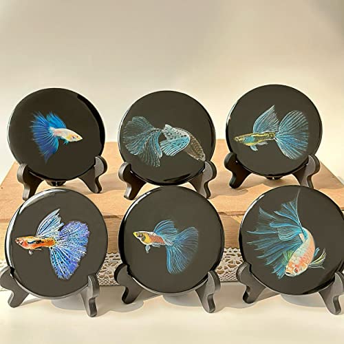 Hand-Painted Betta Fish on Resin Disc - Unique & Trending Ornaments - Office & Aquarium Accesory - Collectibles & Décor [Apatite Collection] (Blind Box, Random)
