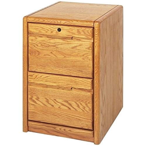 BOWERY HILL 2 Drawers 29" Vertical Oak Wood Filing Cabinet Lockable Pre-assembled Stationary for Home, Office